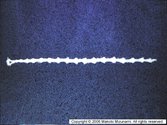 Invertebrate Brain Platform