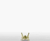 Invertebrate Brain Platform - MovieFiles